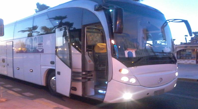 From Marsa Alam: Day Trip to Luxor by Bus